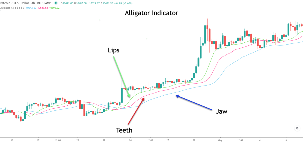 Alligator-indicator - Forex Training Group